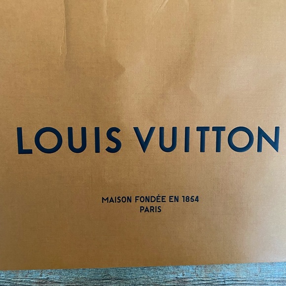 Louis Vuitton | Other | Louis Vuitton Reusable Shopping Bag | Poshmark